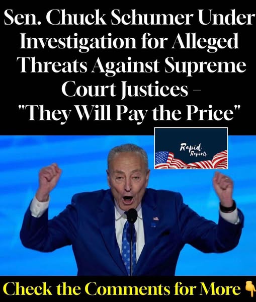 Sen. Chuck Schumer Under Investigation for Alleged Threats Against ...