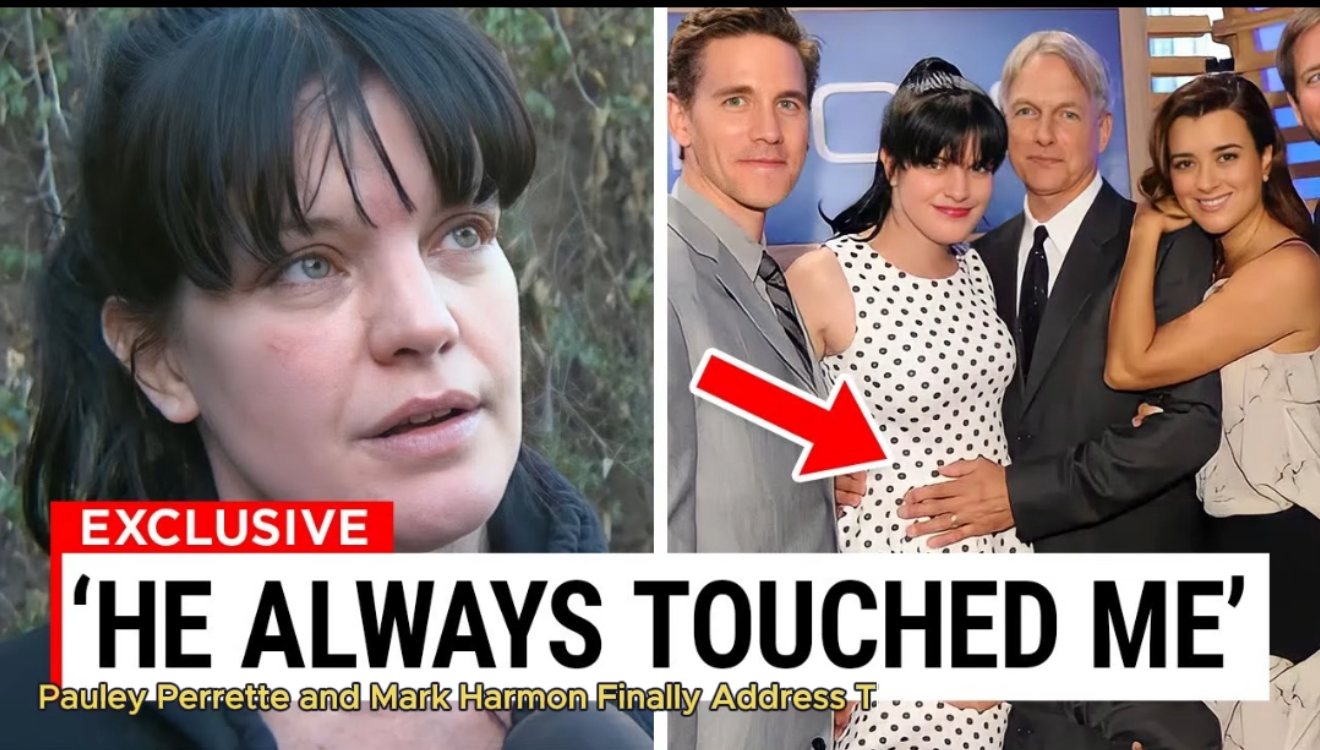 Pauley Perrette and Mark Harmon Finally Address Their Off-Screen Drama ...